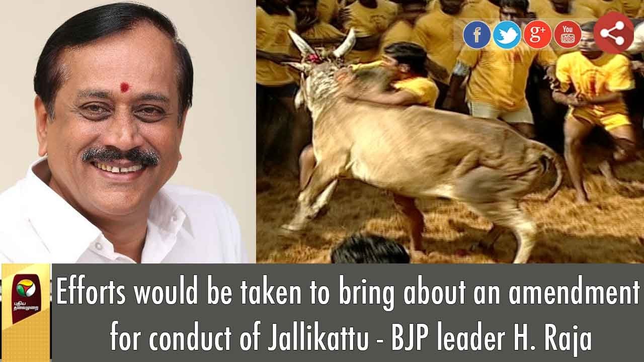 BJP leader H. Raja Speaks on SC Decision of Jallikattu Ban - YouTube