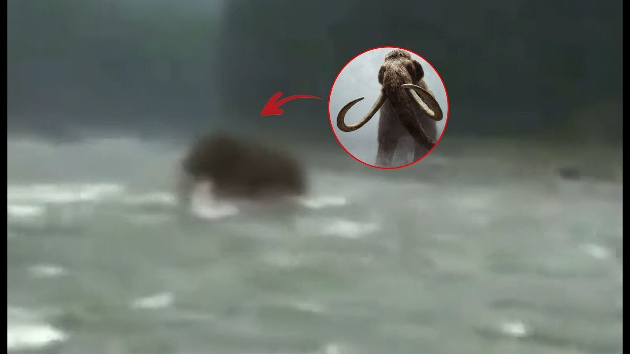 3 BUKTI MAMMOTH MASIH HIDUP (?) #mammoth #gajahpurba #caughtoncamera # ...