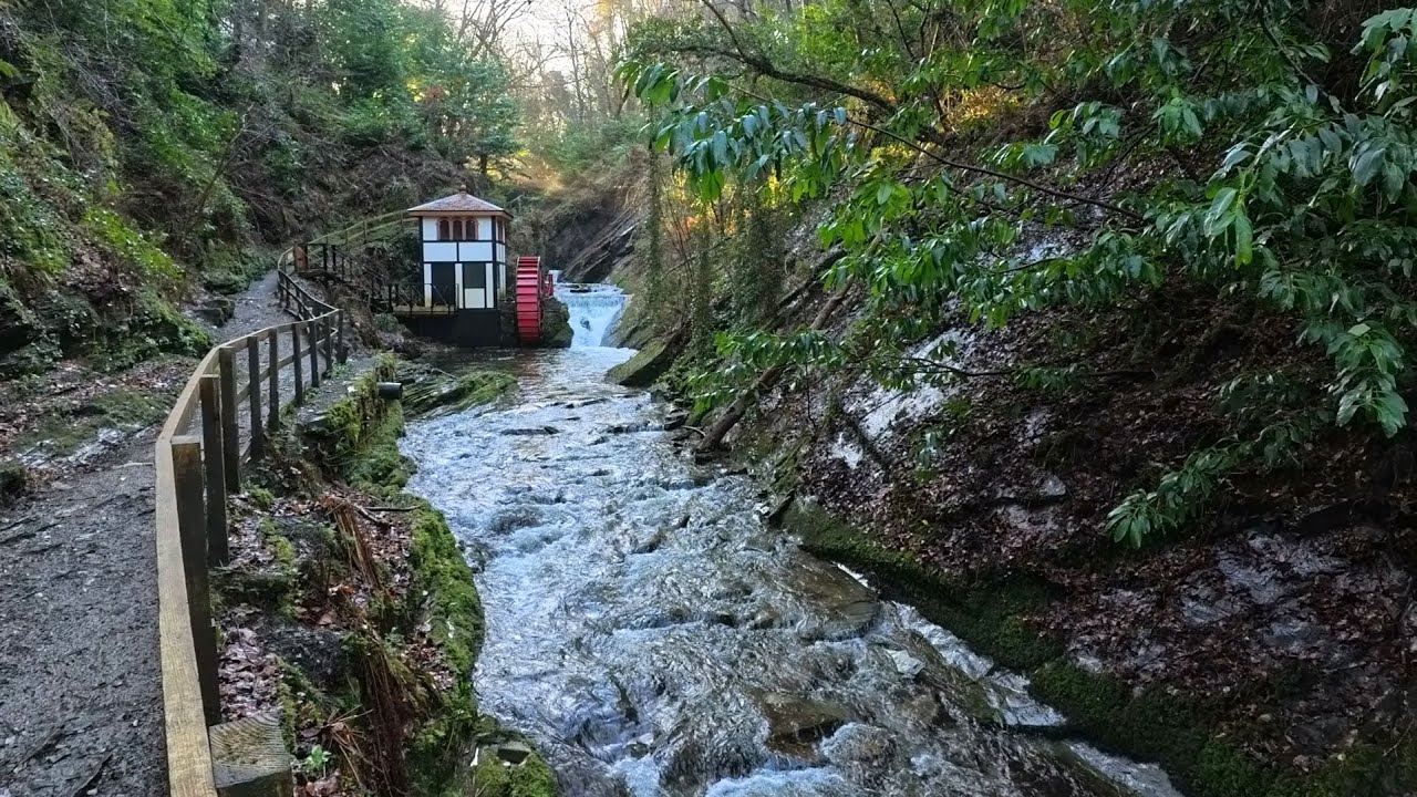 A stroll in Groudle Glen - YouTube