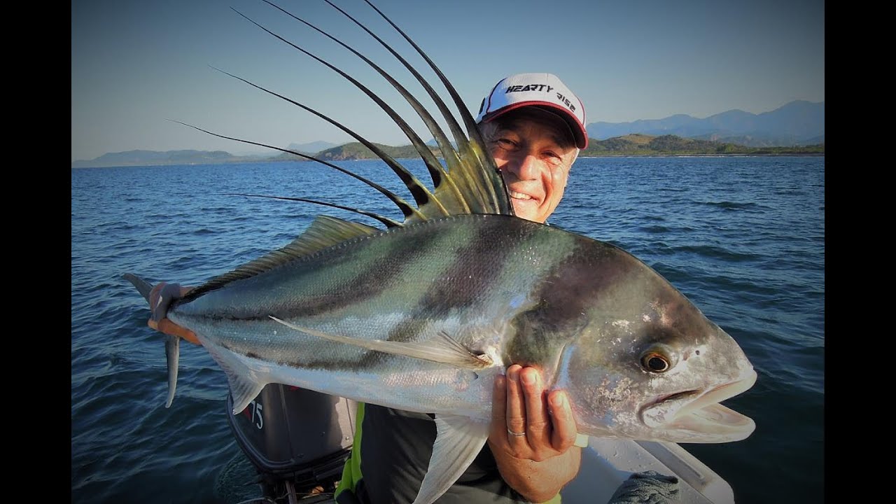 la pêche des poissons coqs au mexique . pêche en mer . - YouTube