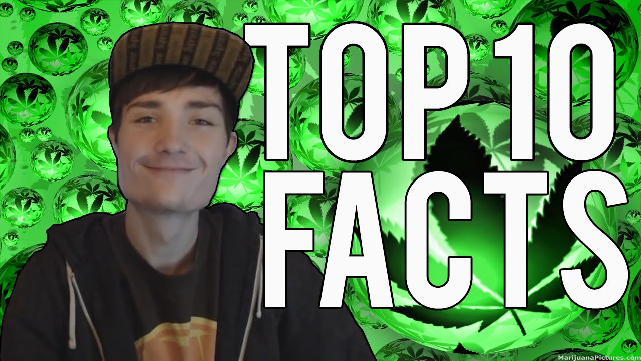 TOP 10 Facts About xCodeh(Interesting Facts) - YouTube