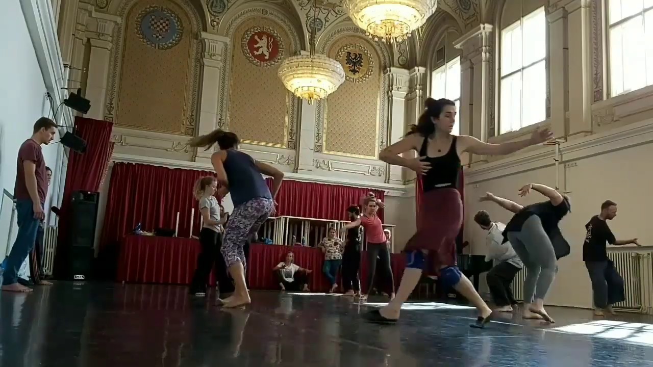 Decoding Motion movement intelligence project - open training in Prague ...