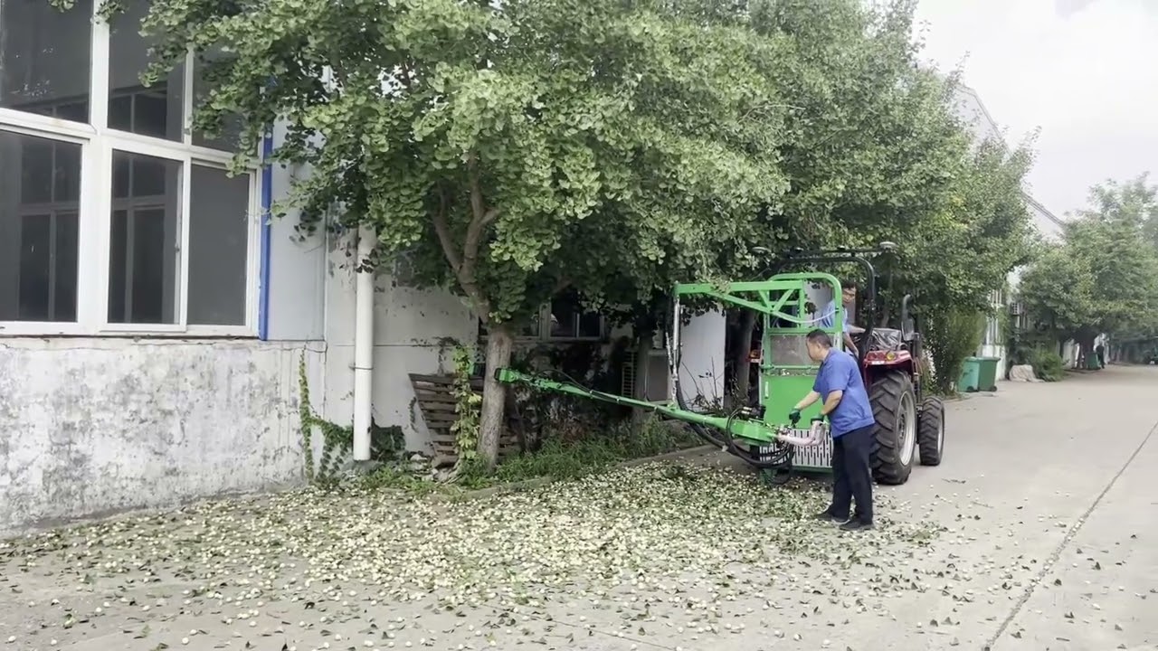 Pecan tree harvesting shaker with tractor mounted work video - YouTube