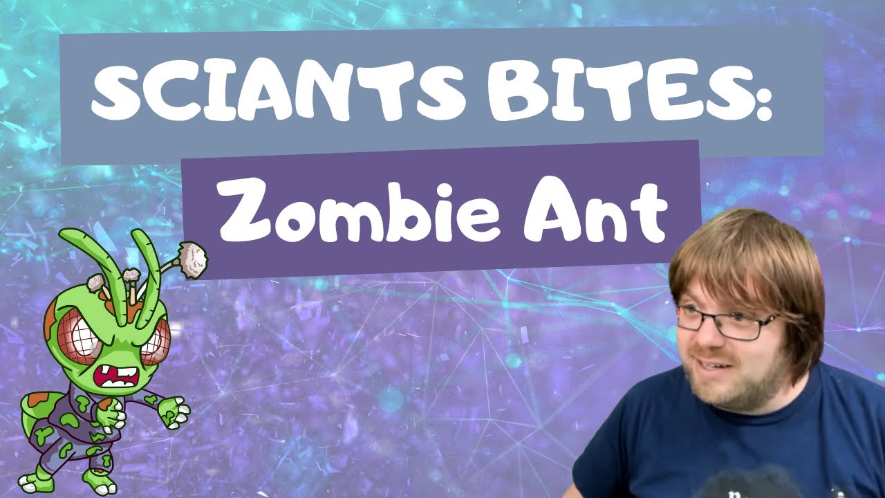 The Last of Us Spores in REAL LIFE | Cordyceps and Zombie Ants - YouTube