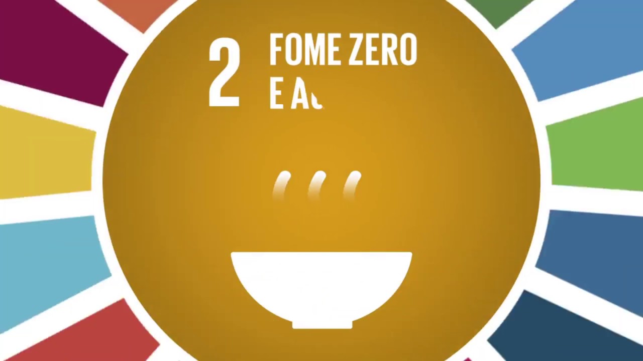 ODS 2 - Fome Zero e Agricultura Sustentável - YouTube