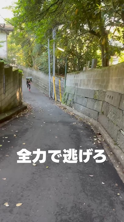 逃げろ逃げろ逃げろ逃げろ逃げろ逃げろ逃げろ逃げろ逃げろ逃げろ逃げろ逃げろ逃げろ逃げろ逃げろ逃げろ逃げろ逃げろ逃げろ逃げろ逃げろ Shorts Youtube