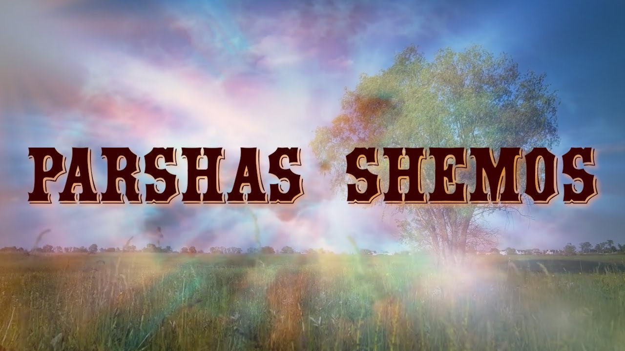 Rabbi Avi Wiesenfeld - Parshas Shemos - You Are Superhuman - YouTube