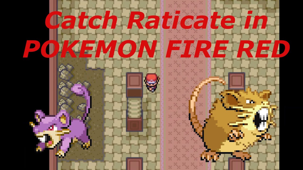 How to Catch Rattata Raticate in Pokemon Fire Red - YouTube