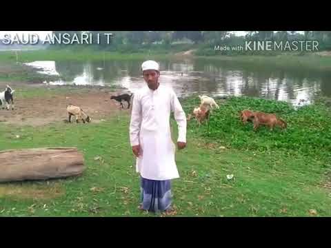 Amanullah ansari - YouTube