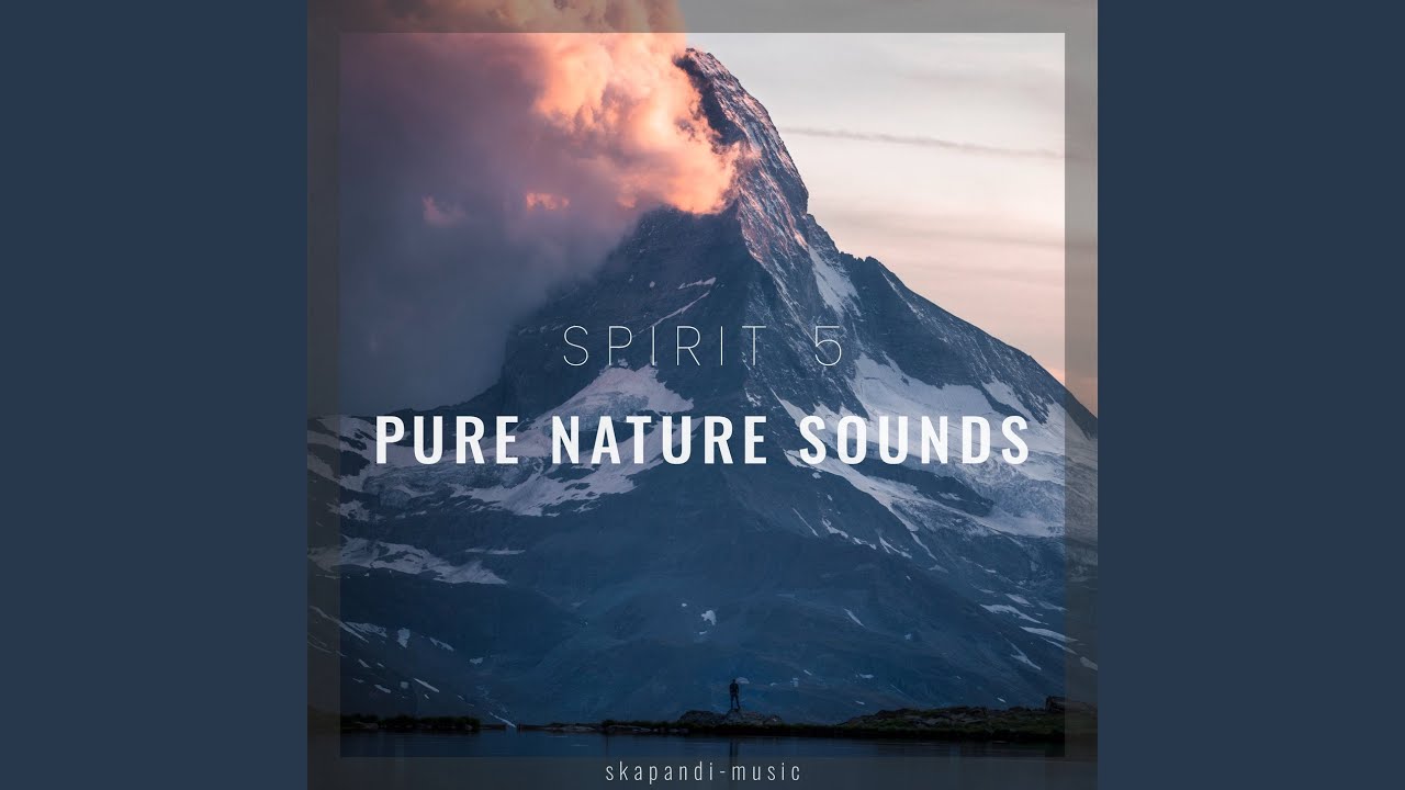 Pure Nature Sounds - YouTube