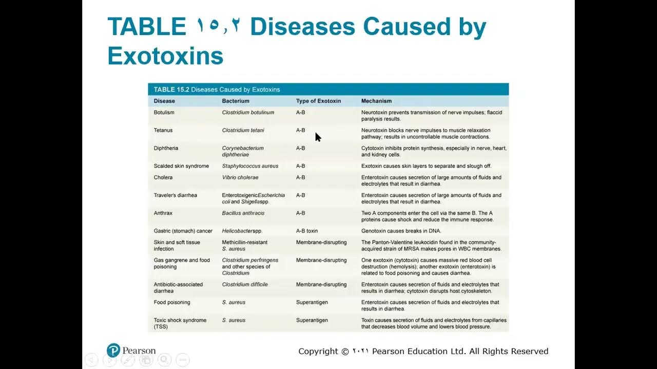 ch15 part 2+ ch 21 part 1 - YouTube
