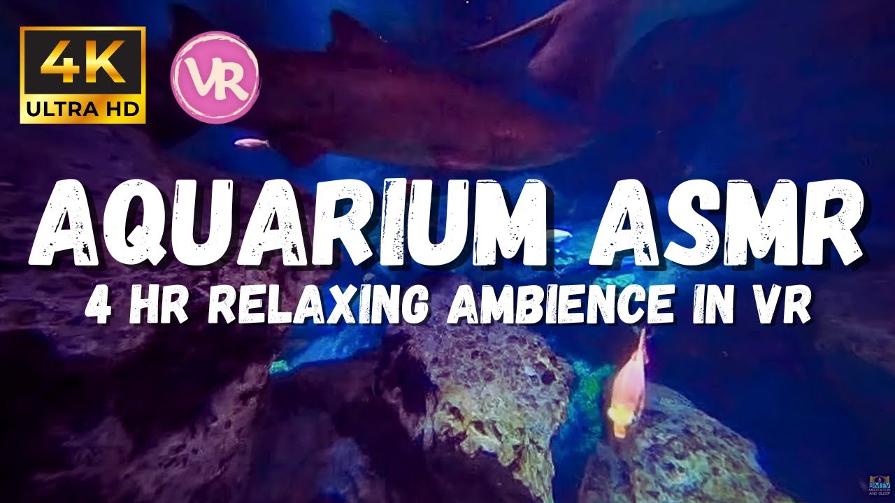 Under Water Sounds for Sleeping: Relaxing with no music, 4K underwater ...