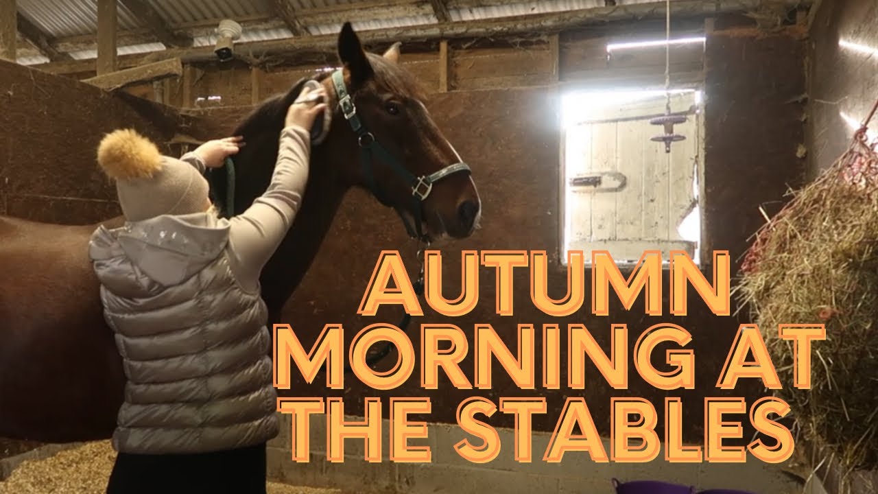 AUTUMN MORNING ROUTINE // Equestrian Vlog - YouTube