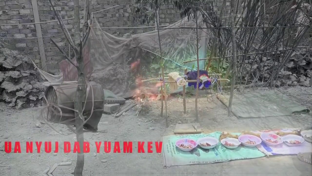 Ua Nyuj Dab Yuam Kev Thiaj Mob Tag Tsev 06/26/2020 - YouTube