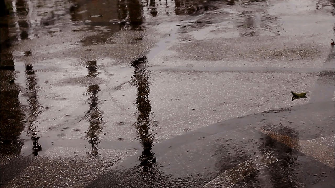 free footage: Rain [no copyright] - YouTube