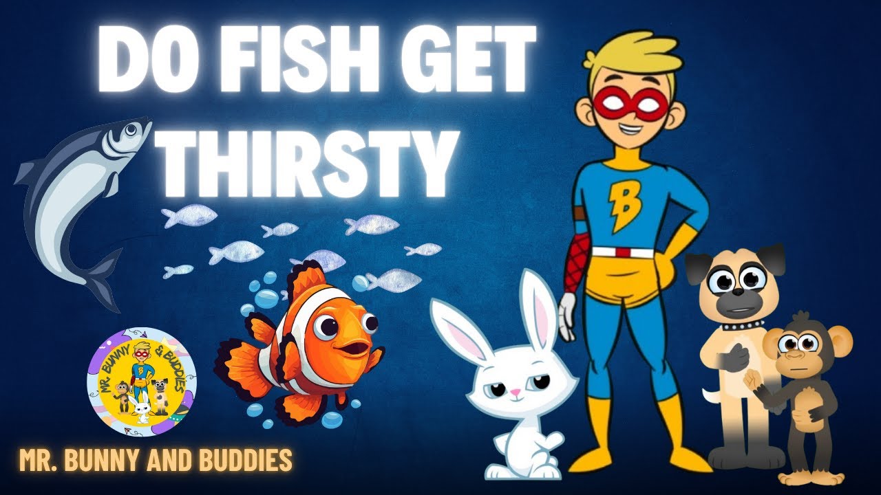 Do Fish Get Thirsty | Ever wondered if fish get thirsty 🐠💦 | Mr. Bunny ...