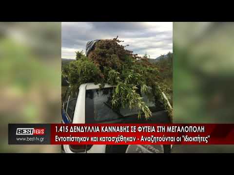ΦΥΤΕΙΑ ΚΑΝΝΑΒΗΣ ΜΕΓΑΛΟΠΟΛΗ - YouTube