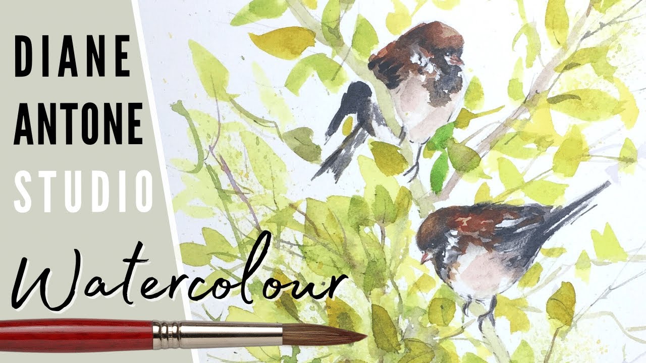 Country Garden Birds Coloring Book Tutorials | Diane Antone Studio