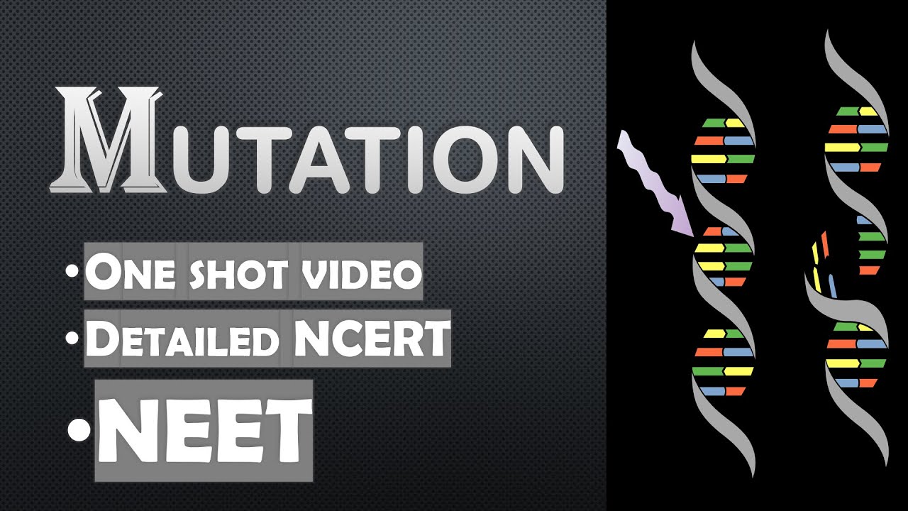 MUTATION | FULL REVISION | CLASS 12 | NEET | NCERT | CBSE - YouTube