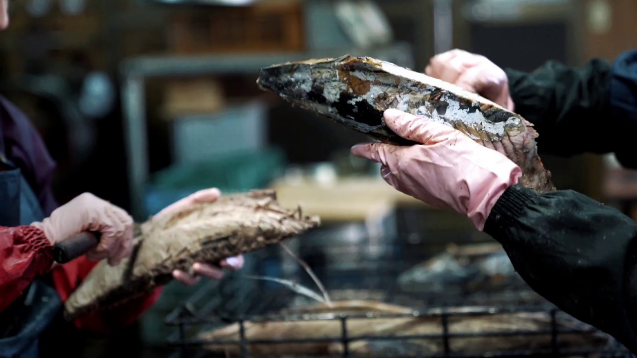 Discovering Dashi, the Basis of Japanese Cusine, in Makurazaki City ...