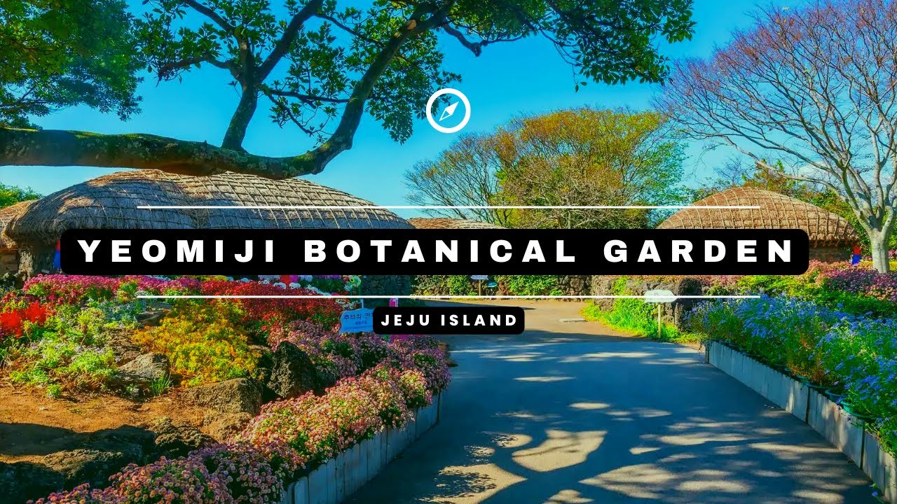 Yeomiji Botanical Garden in Jeju Island | jeju island museum | Best of ...