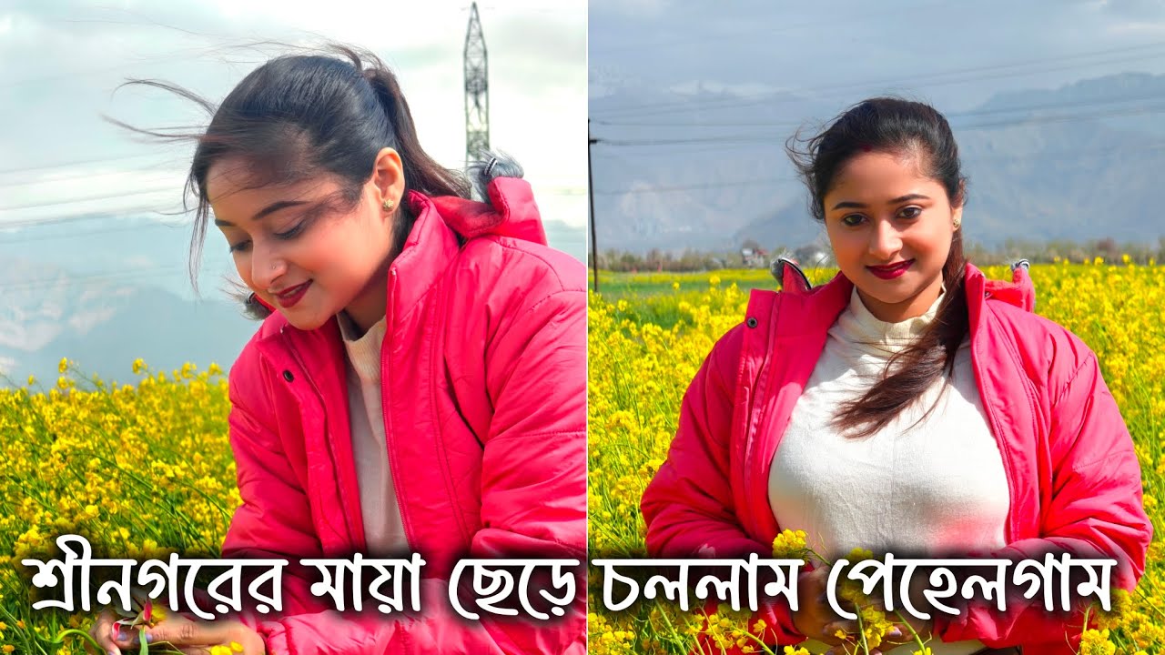 শ্রীনগরের মায়া ছেড়ে চললাম পেহেলগাম || Welcome To Kashmir Vlog - 6 || Mr & Mrs Bhowmick - YouTube