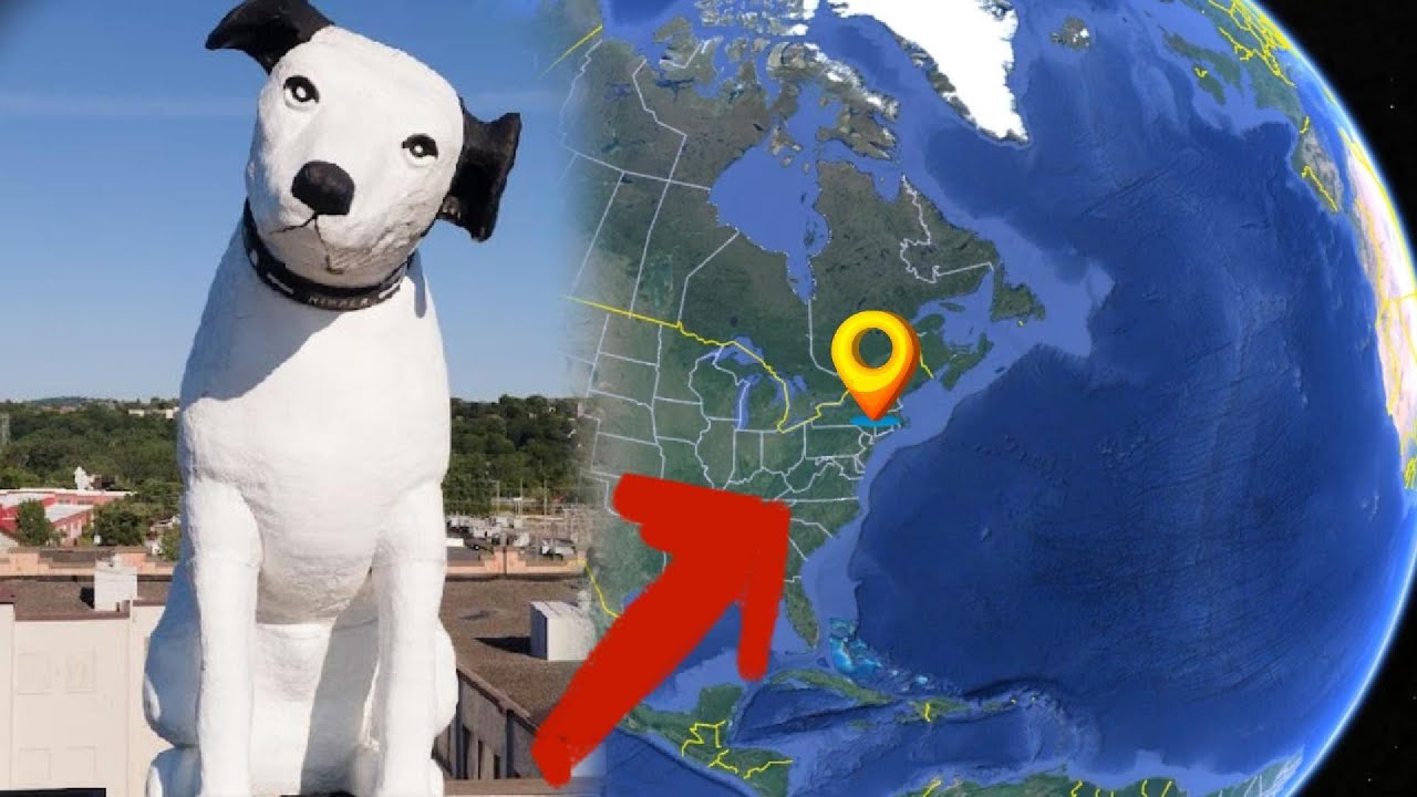 🐶Largest Nipper Dog on Google Maps!📍 - YouTube