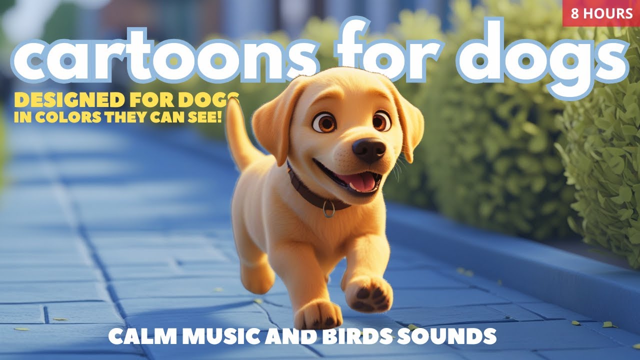 Bluney: Anti Anxiety TV for Dogs to watch! 8-Hour of Cartoons for Dogs ...