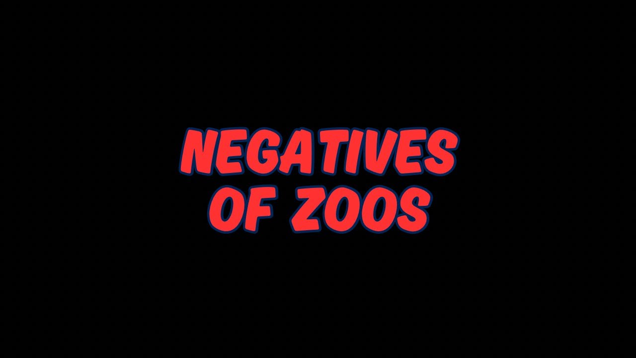 Negatives of Zoos - Ideas for IELTS Writing and Speaking - YouTube