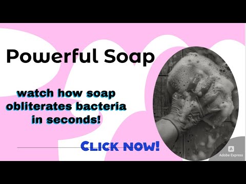 soap vs bacteria; the battle of soap to keep us healthy - YouTube
