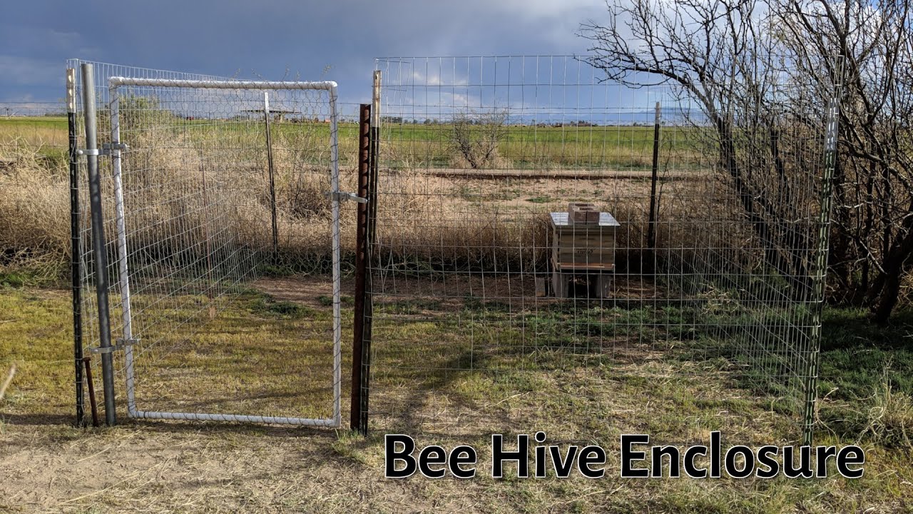 Bee Hive Enclosure - YouTube