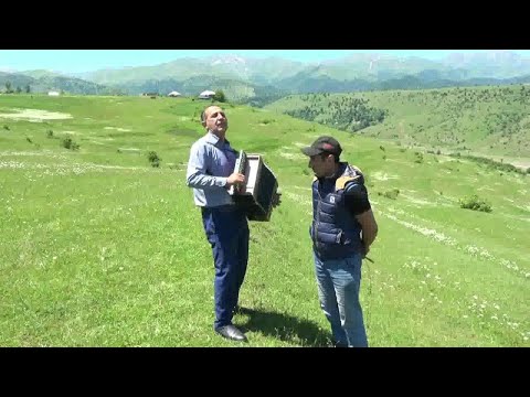 Gedebey Asiqlari, Ferhad Gedebeyli \