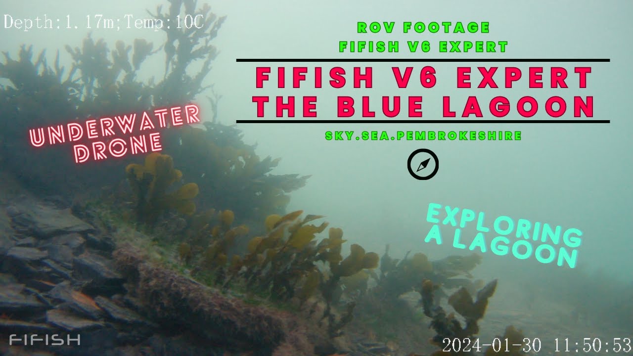 Fifish V6 Expert Finds Fish! Exploring The Depths Of The Blue Lagoon ...