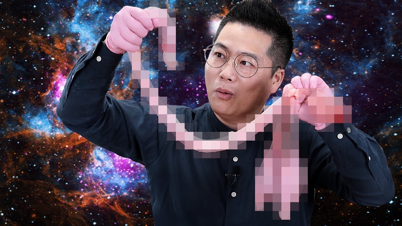 Introduces cattle testicles and genitalia. Matsangmu - YouTube