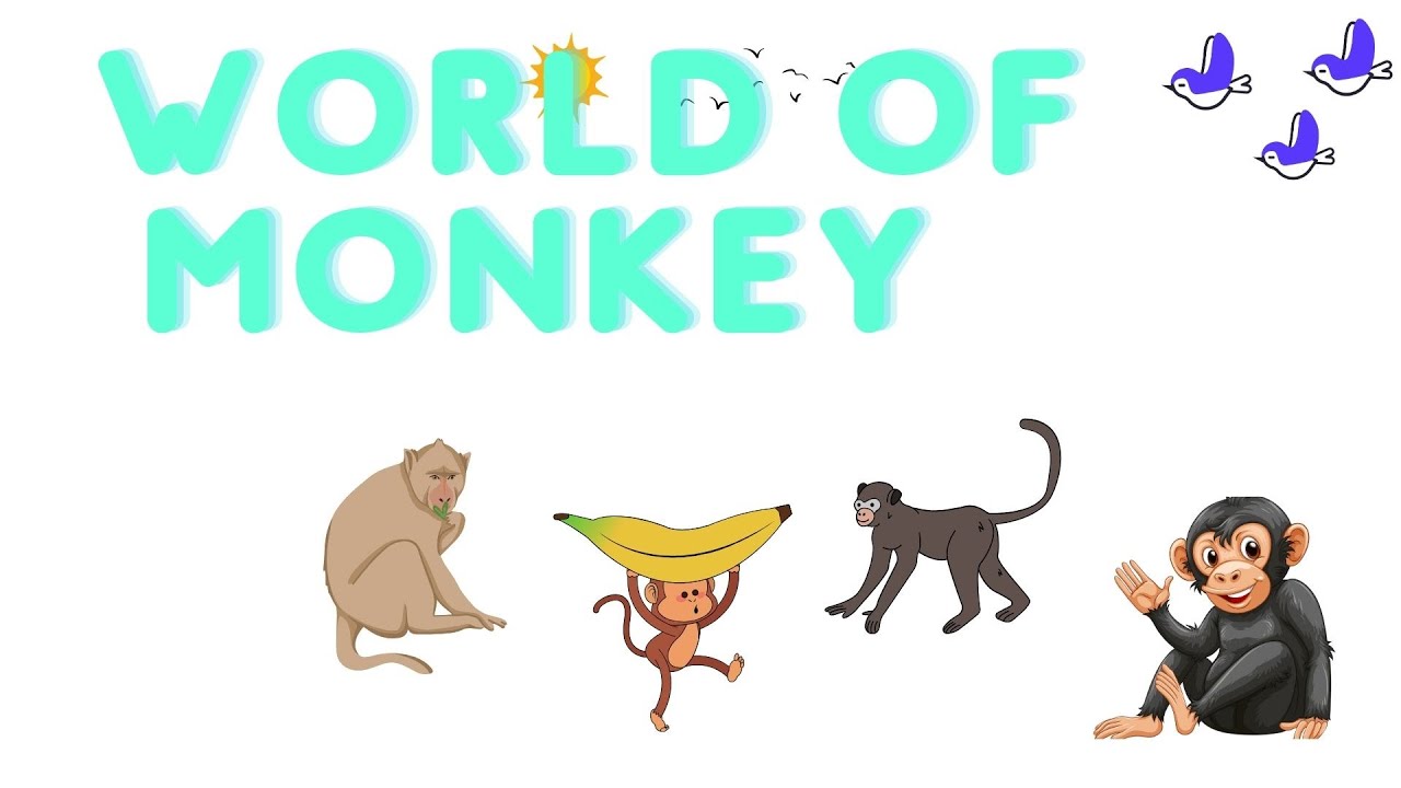 "Exploring the Fascinating World of Monkey Life: A Documentary Journey ...