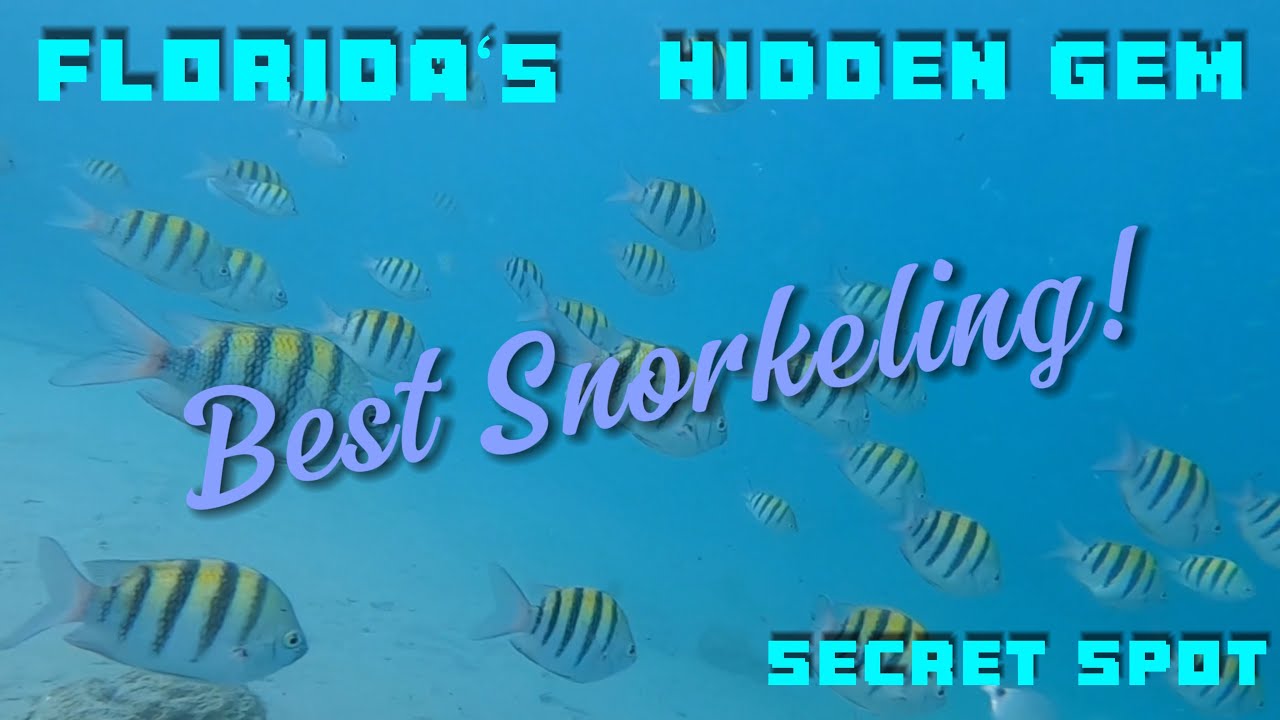 Hidden Gem: Secret Snorkeling Spot in Florida - YouTube