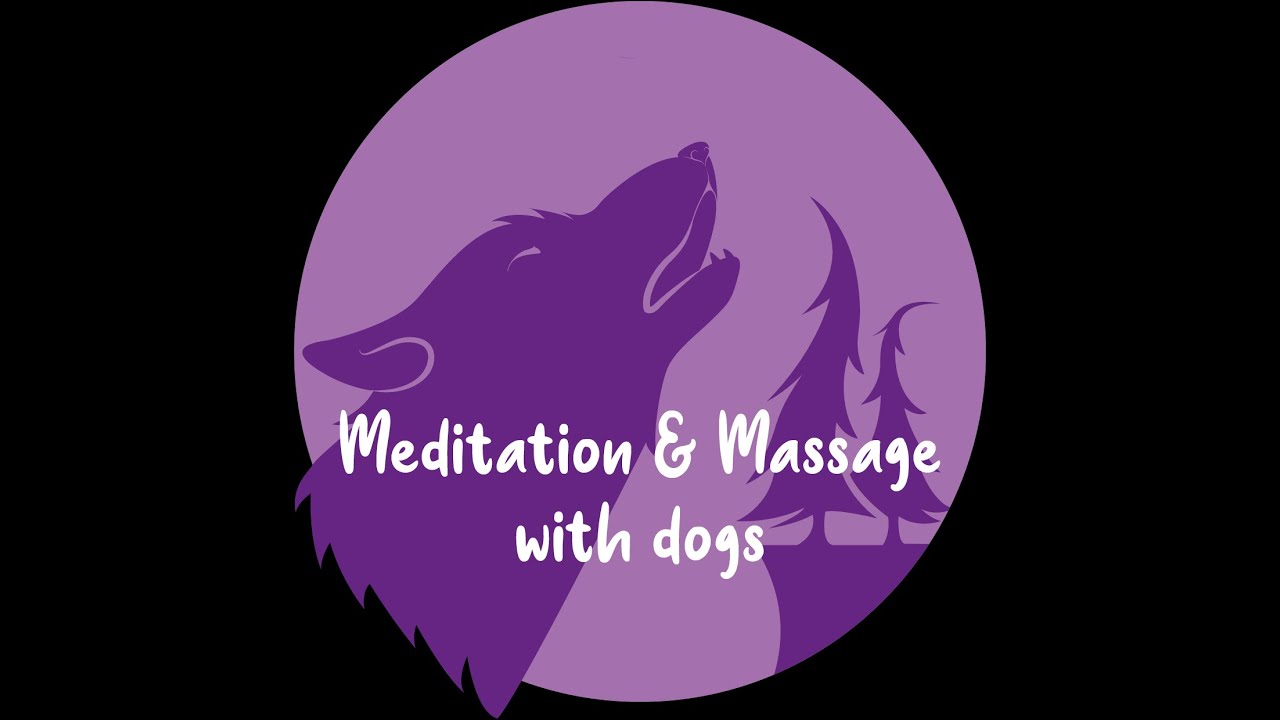 Demonstration of settling stress through meditation, mindfulness ...