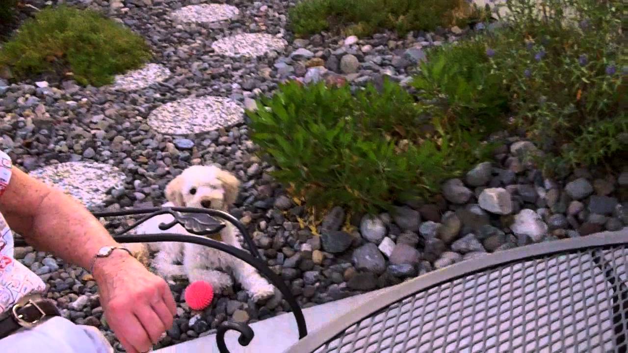 Jazzy, Sandie, Mom and Bob - YouTube