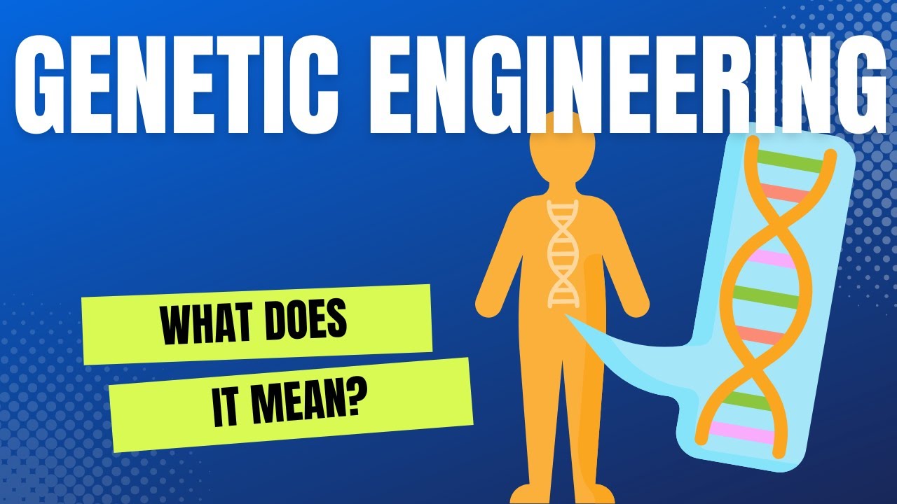 What Does It Mean? - What Is Genetic Engineering? - YouTube