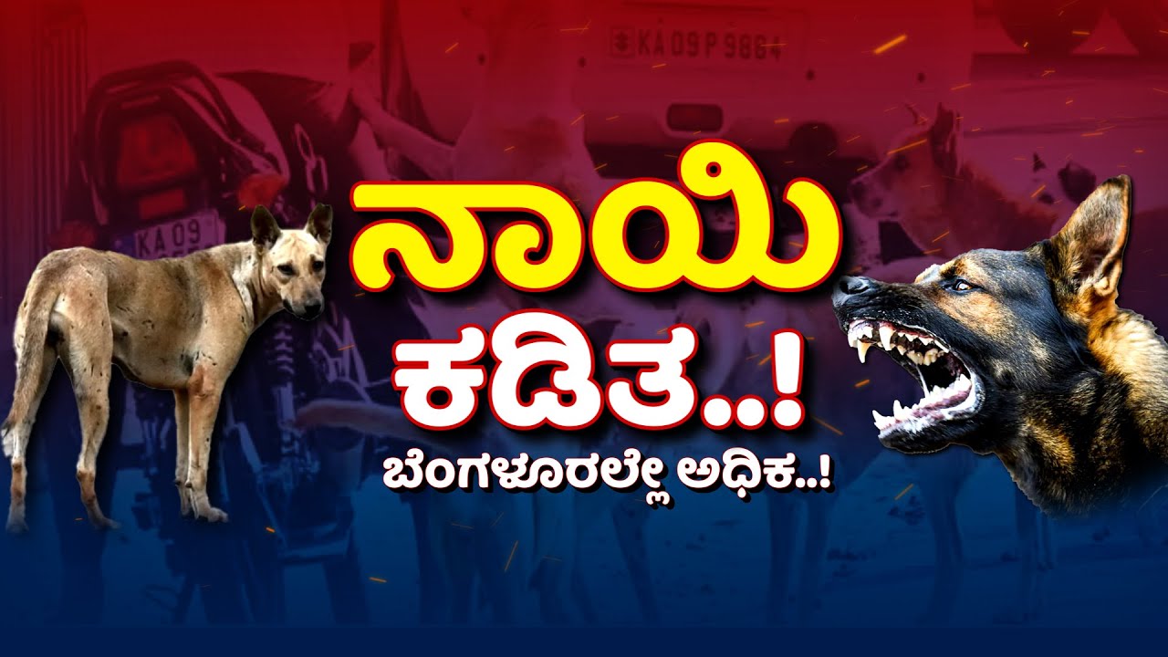 Stray Dogs | Bengaluru | BBMP | ನಾಯಿ ಕಡಿತದಿಂದ 5 ವರ್ಷದಲ್ಲಿ 11 ಮಂದಿ ಸಾ ...