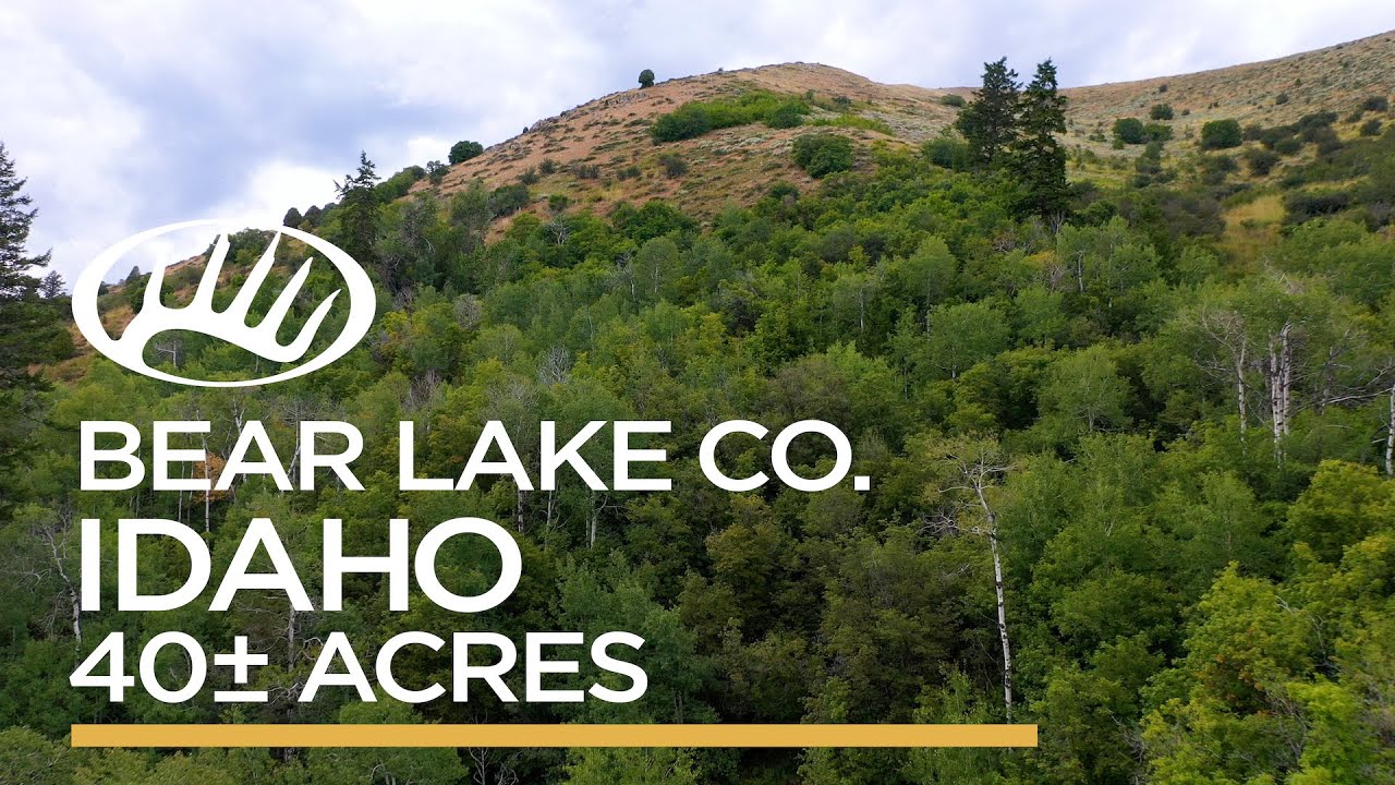 Bear Lake County, ID 40± Acres - YouTube