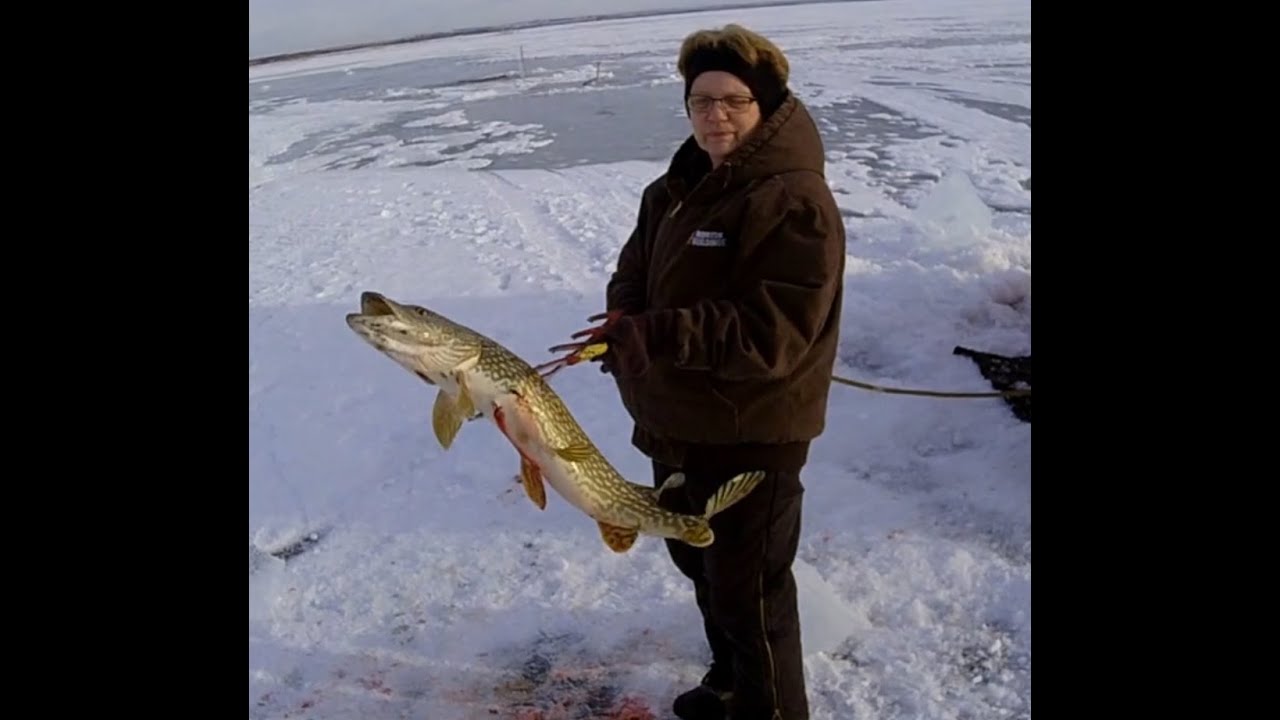 Shaky Shaft February Pike Spearing - YouTube