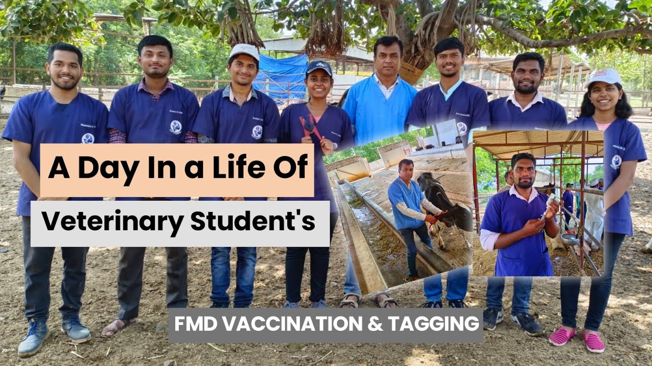 A day in my veterinary journey || a day in veterinary student life at ...