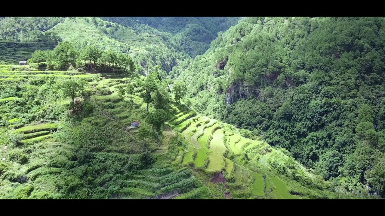 Sagada Rice Terraces July 2017 | DJI Mavic Pro - YouTube