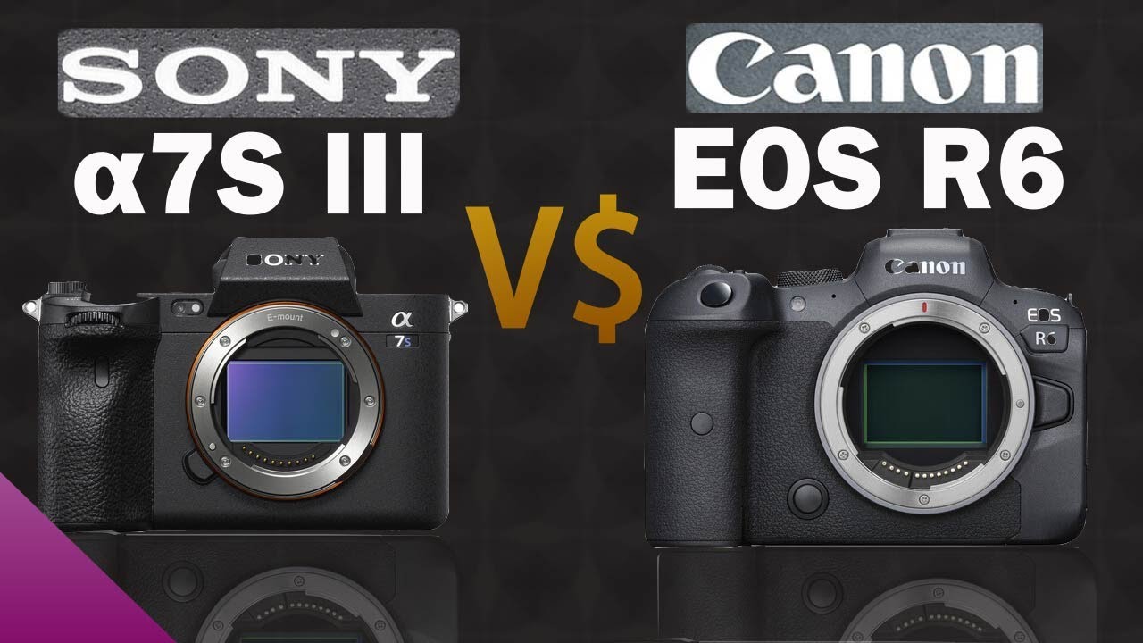 Sony a7S III vs Canon EOS R6 - YouTube