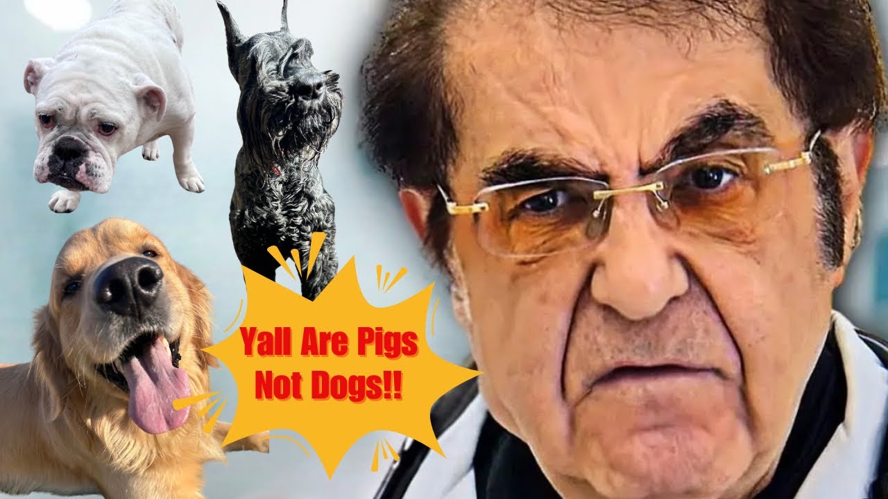 Dr. Now Roast My Dogs | My 600 lb Life | Dog Edition - YouTube