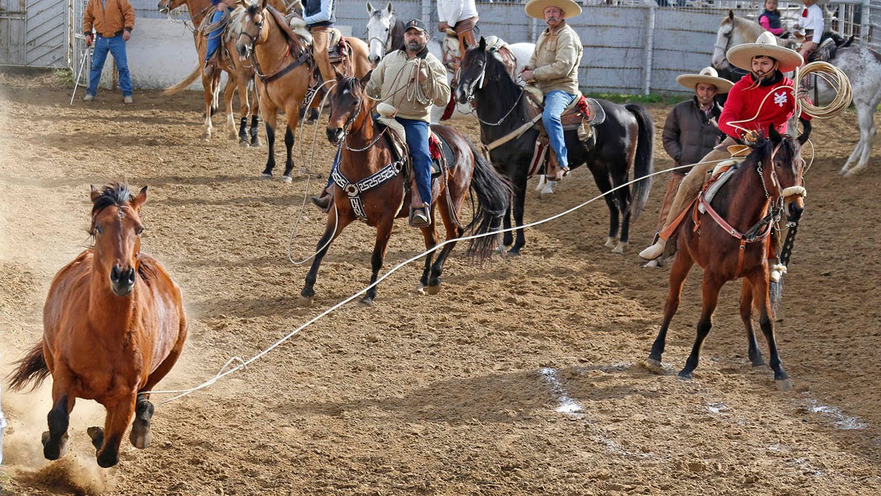 Charros in Texas thrive on tradition, family, competition - YouTube