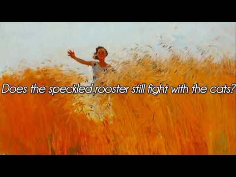 Barış Manço - Arkadaşım Eşek // English Translation  • 1981