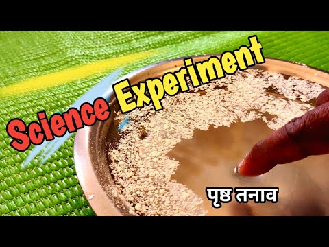 vigyan prayog/Science Experiment😀/पृष्ठ तनाव - YouTube