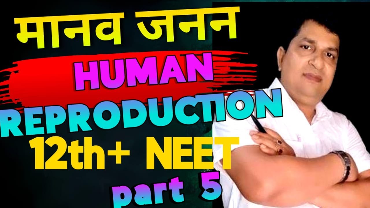 Manav janan class 12 | human reproduction class 12 part 5 | Testes ki ...